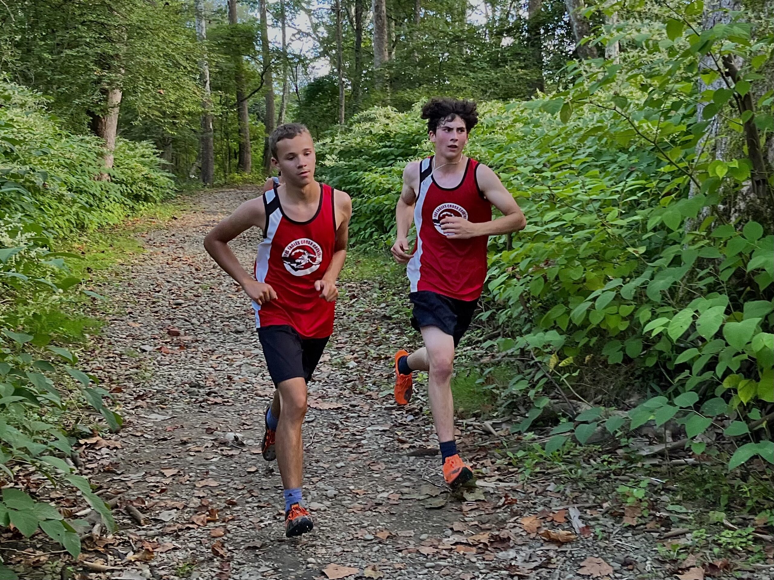 Eagles cross country falls to Huskies | News, Sports, Jobs - Times Observer